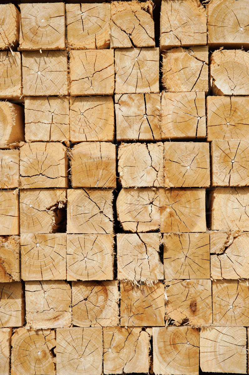 Full-frame shot of orderly timber stacks - Stock Photo - Dissolve
