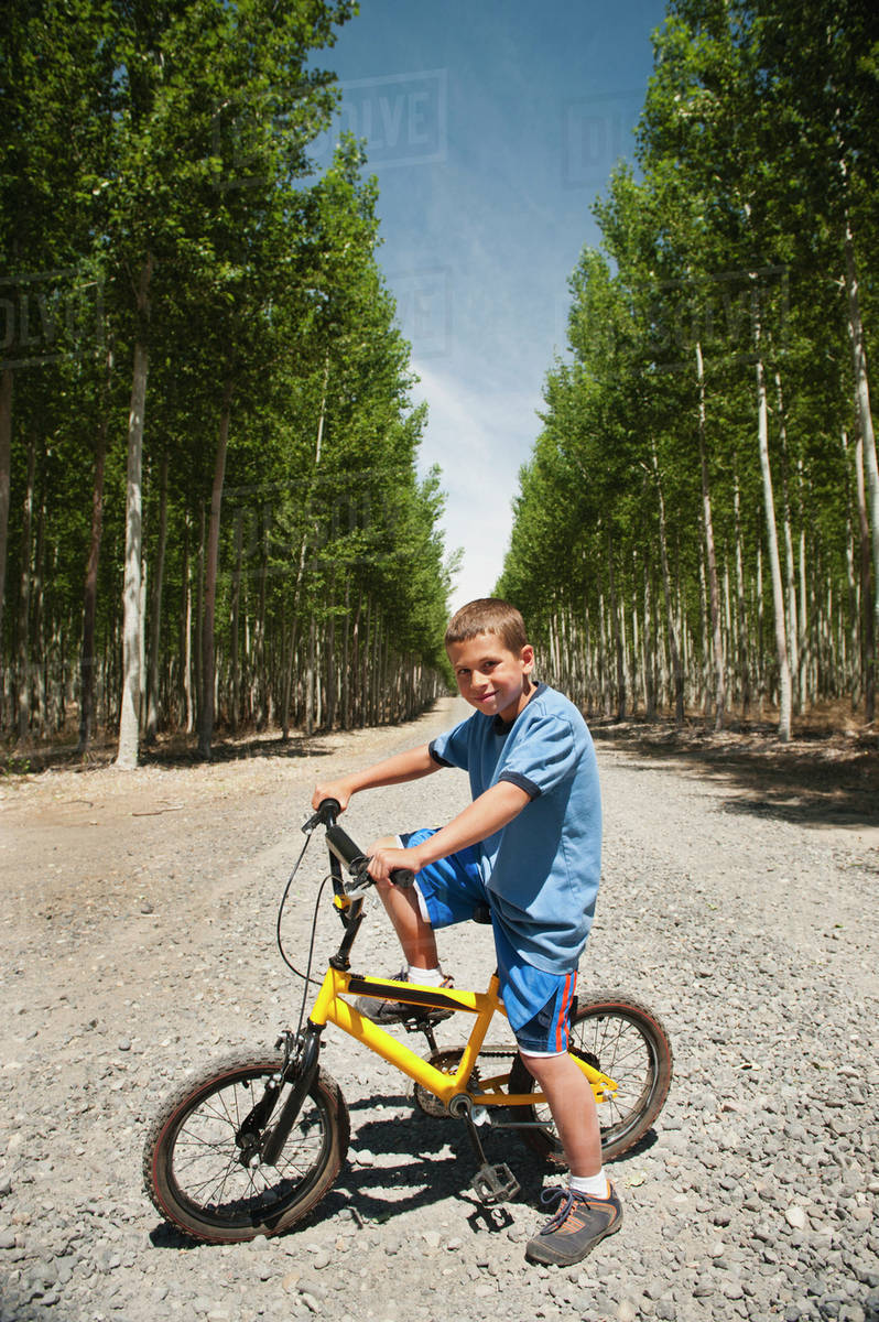 Boy (8-9) riding bike between poplar trees in tree farm - Stock Photo ...