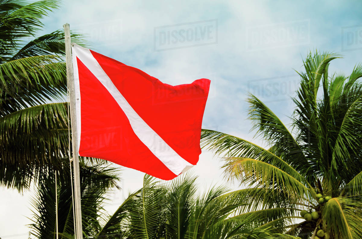 Playa Del Carmen Mexico Flag Playas En Playa Del Carmen Mantienen