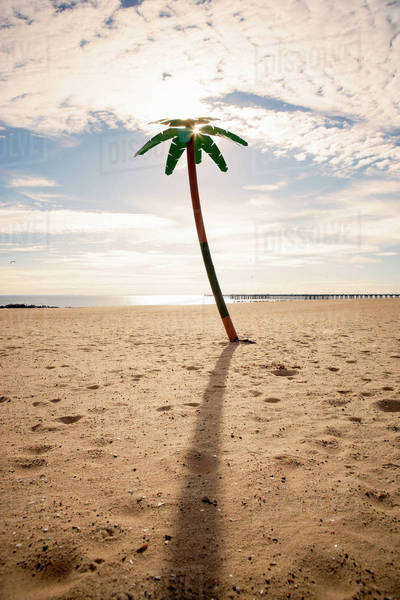 USA, New York City, Coney Island, palm tree on beach - Stock Photo ...
