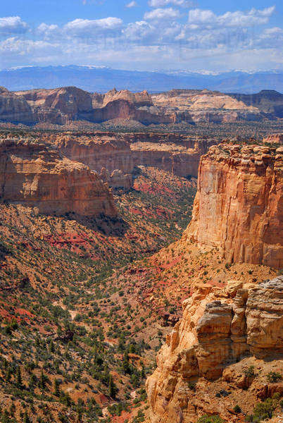 USA, Utah, Red Rock Cliffs - Royalty-free Stock Photo | Dissolve
