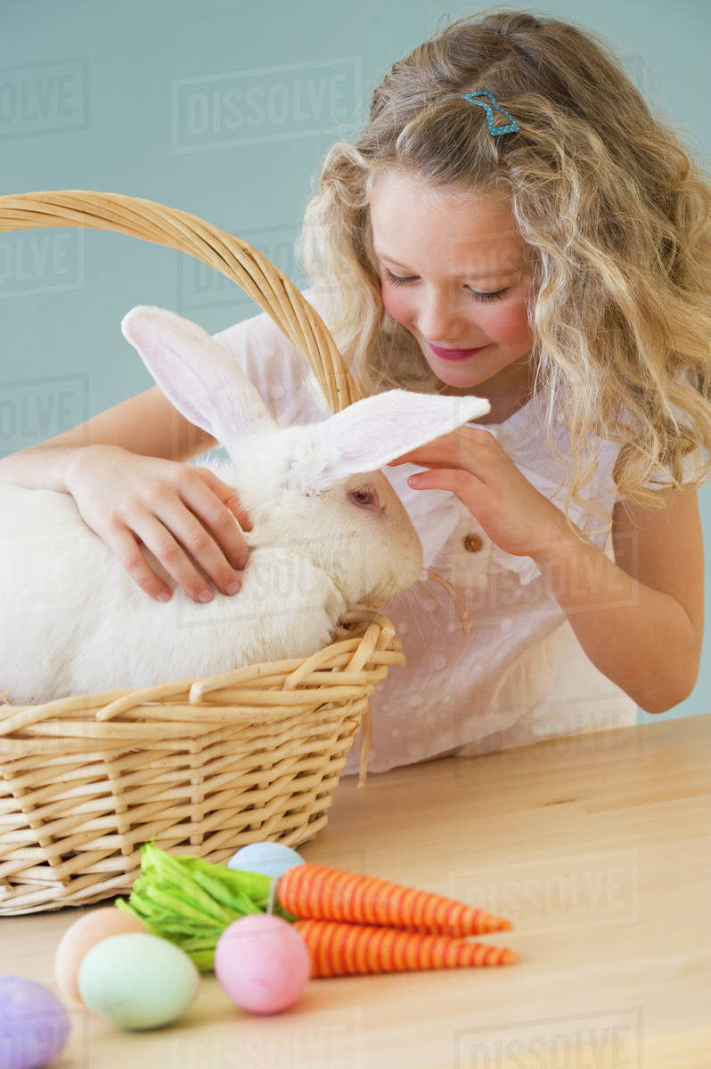 Young girl petting a rabbit in a basket - Royalty-free Stock Photo ...