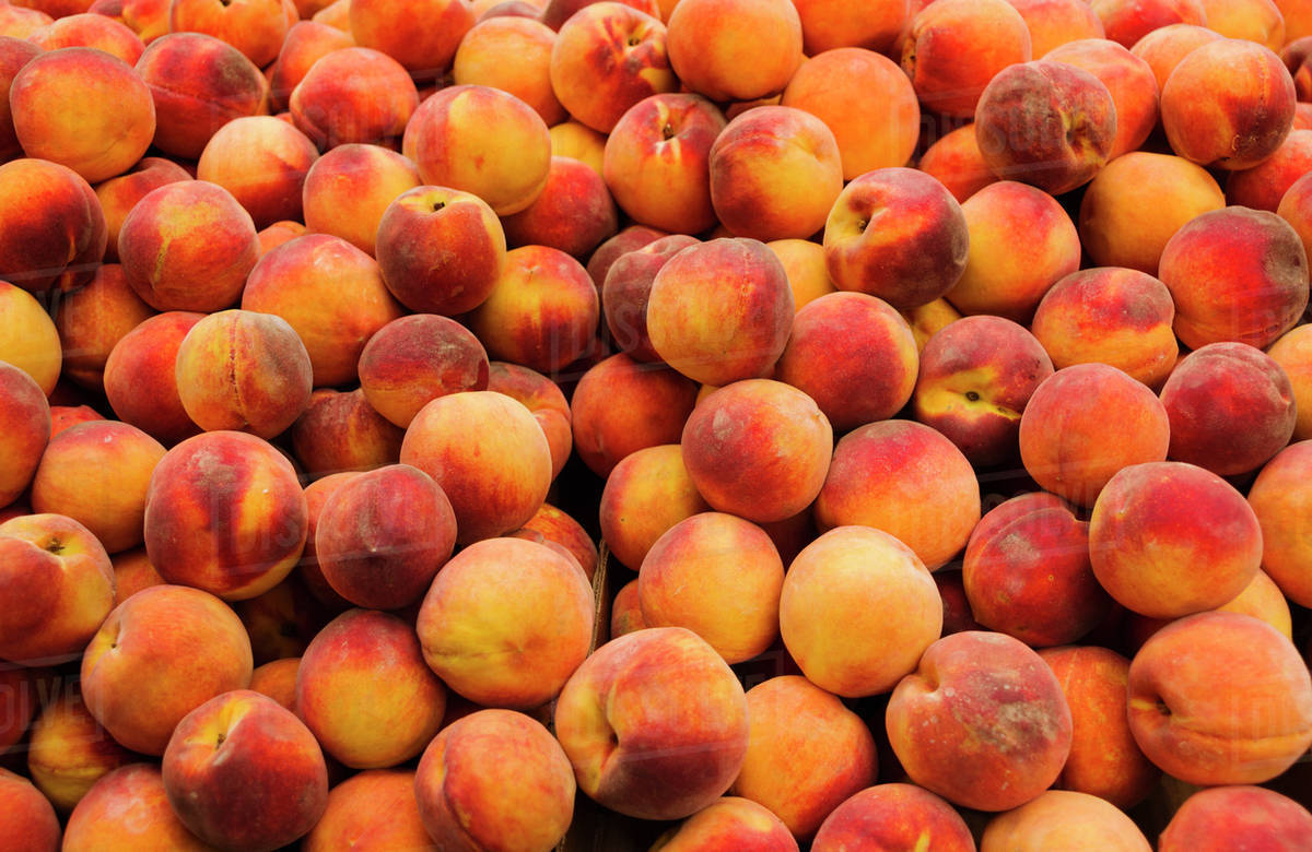 Close up of peaches - Stock Photo - Dissolve