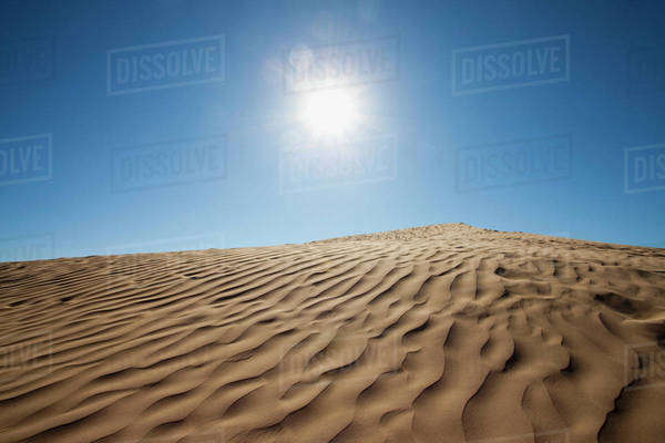 Sunny desert - Royalty-free Stock Photo | Dissolve