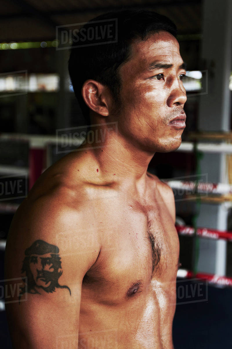 Portrait of mid adult male boxer - Stock Photo - Dissolve