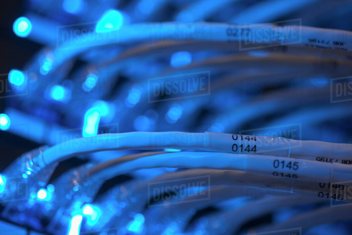 Network cables - Royalty-free Stock Photo | Dissolve