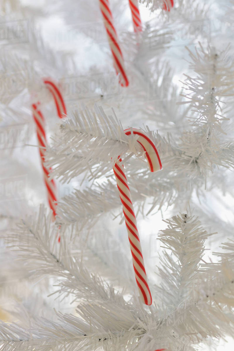 Candy canes on artificial Christmas tree - Royalty-free Stock Photo ...