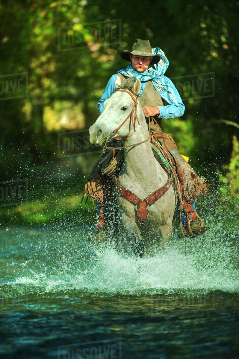 Riding horse through water - Royalty-free Stock Photo | Dissolve
