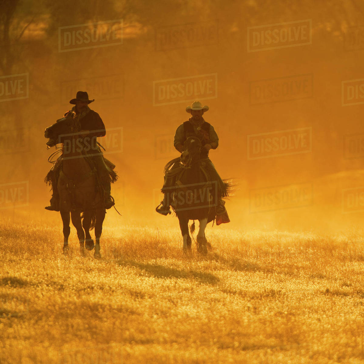 Horseback riders - Stock Photo - Dissolve