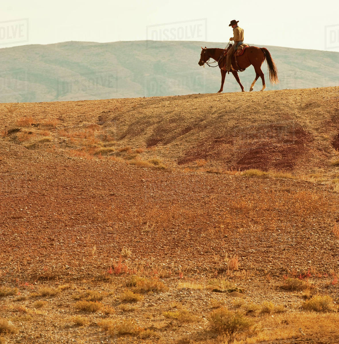 Horseback rider - Royalty-free Stock Photo | Dissolve