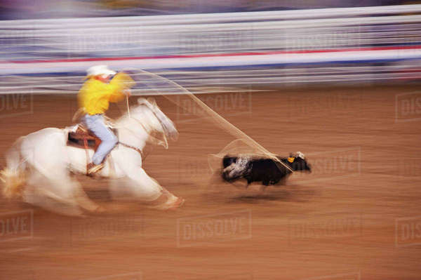 Calf roping - Royalty-free Stock Photo | Dissolve