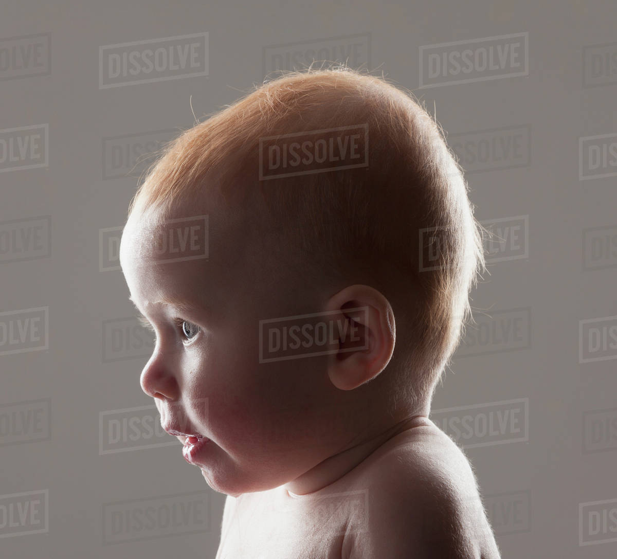 Studio shot portrait of surprised baby boy (18-23 months) - Stock Photo ...