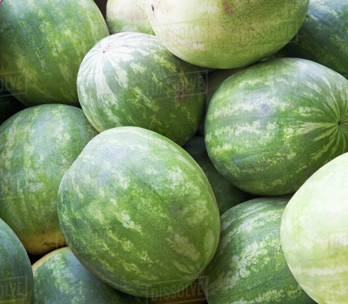 Pile of watermelon - Stock Photo - Dissolve