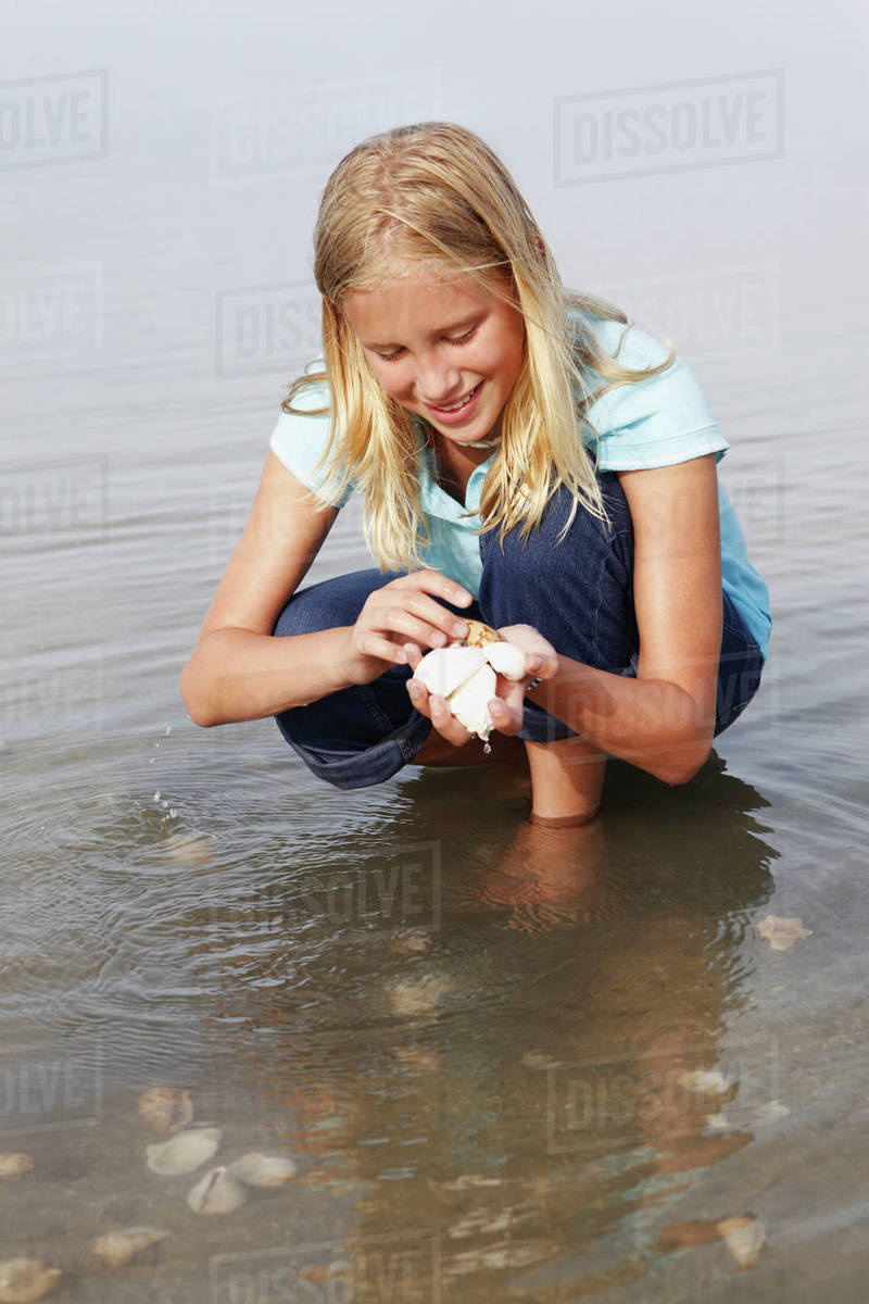 Girl looking for shells in shallow water - Stock Photo - Dissolve