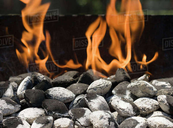 Close up of charcoal briquette fire - Stock Photo - Dissolve
