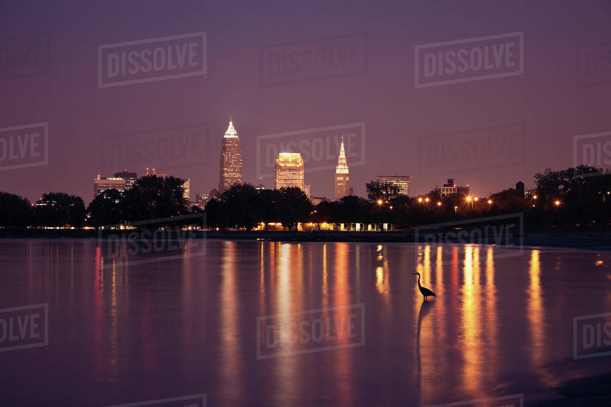 City skyline at night - Royalty-free Stock Photo | Dissolve