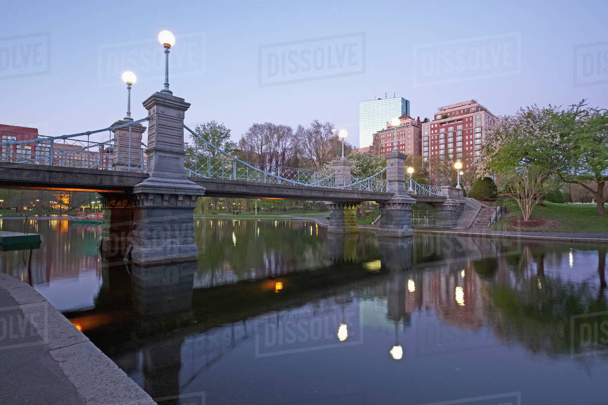 Massachusetts, Boston, Bridge in Boston Public Garden at dawn - Royalty ...