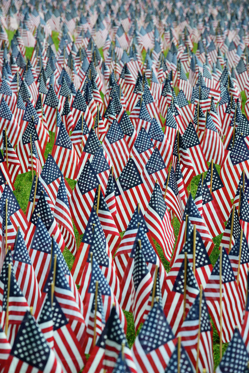 Massachusetts, Boston, American flags on Boston Common - Royalty-free ...