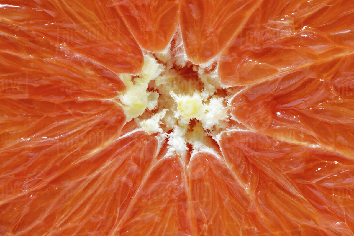 Close up of half of red orange - Royalty-free Stock Photo | Dissolve