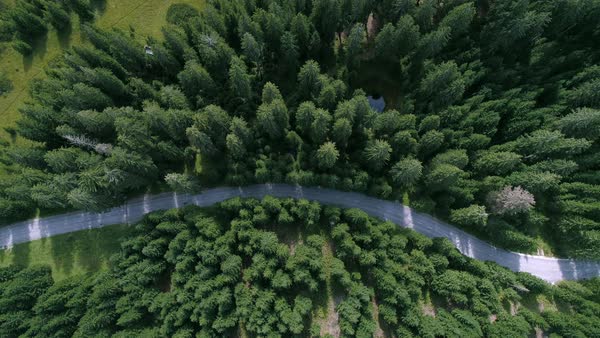 Aerial - Top down view of road biker cycling on the road through the ...