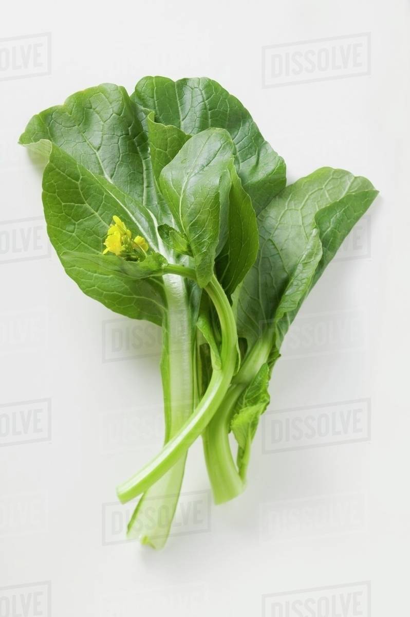 Choi sum (Chinese flowering cabbage) with flowers - Stock Photo - Dissolve