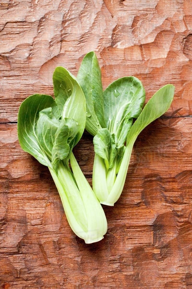 Two pak choi with drops of water - Stock Photo - Dissolve