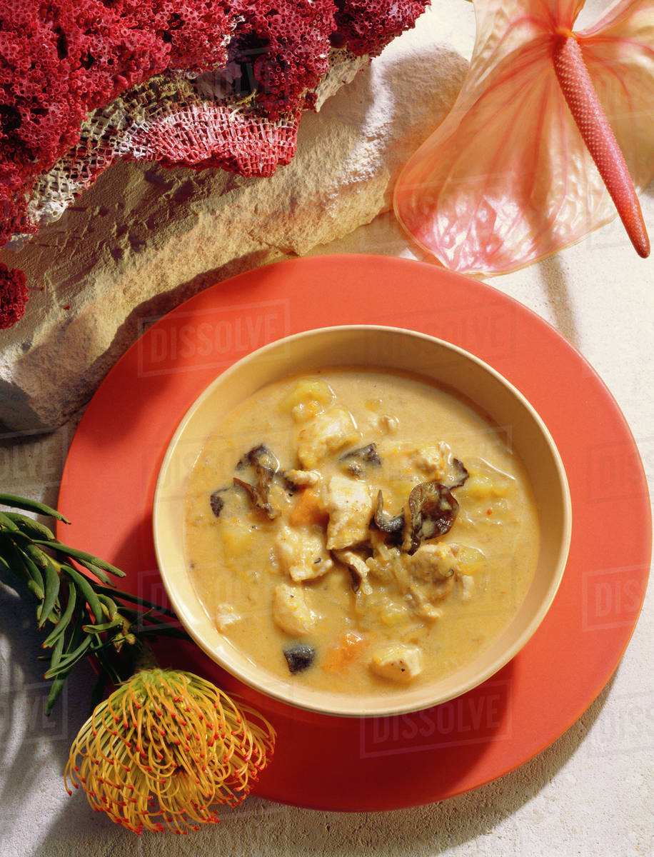 Exotic susu curry with chicken - Royalty-free Stock Photo | Dissolve