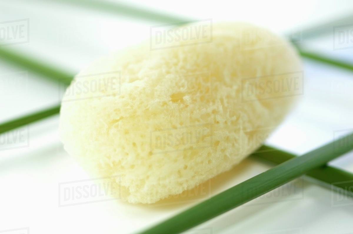 A natural sponge and papryus sedge stalks - Stock Photo - Dissolve