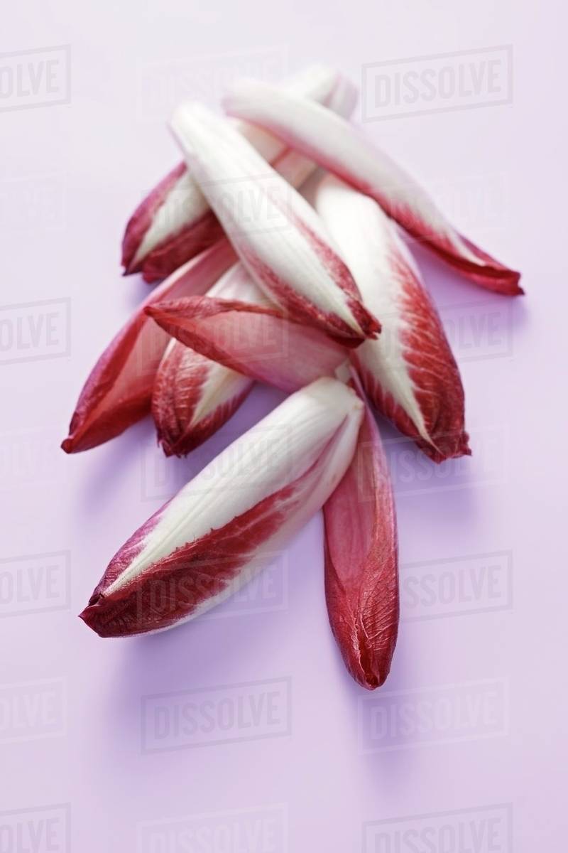 Red chicory - Royalty-free Stock Photo | Dissolve