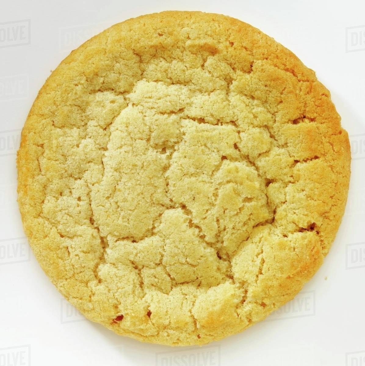 A Single Sugar Cookie; White Background - Royalty-free Stock Photo ...