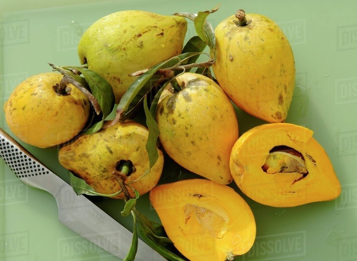 Gandaria (Bouea macrophylla, Marian plum, maprang) - Royalty-free Stock Photo | Dissolve