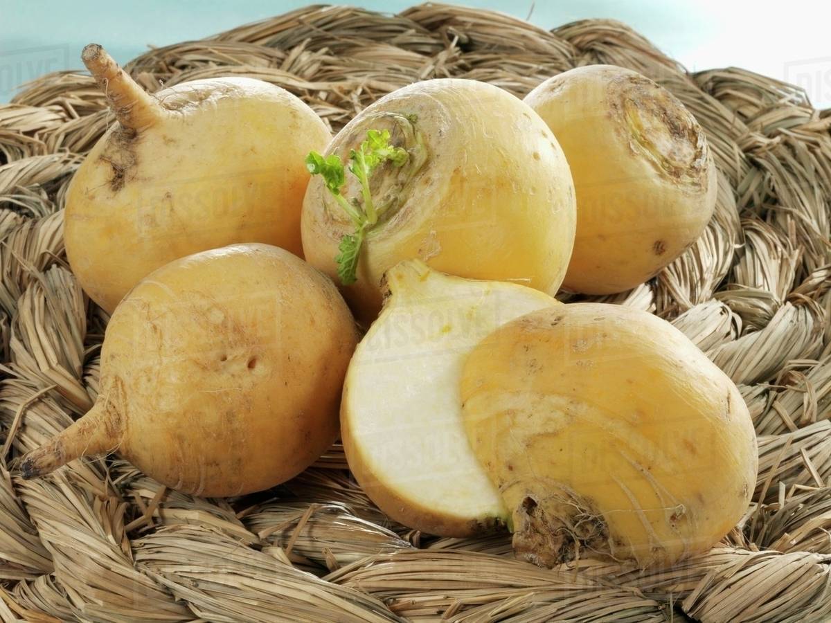 Teltow turnips (close-up) - Royalty-free Stock Photo | Dissolve