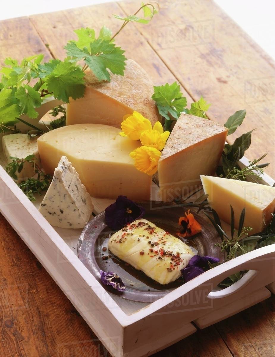 Assorted Cheese on a Tray - Royalty-free Stock Photo | Dissolve