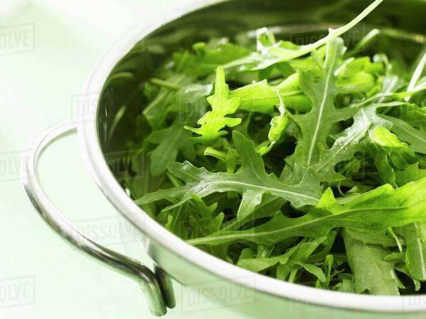 Fresh rocket in bowl - Royalty-free Stock Photo | Dissolve