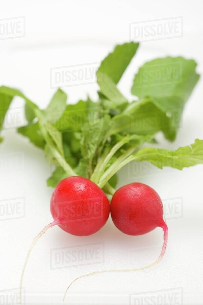 Two radishes - Royalty-free Stock Photo | Dissolve