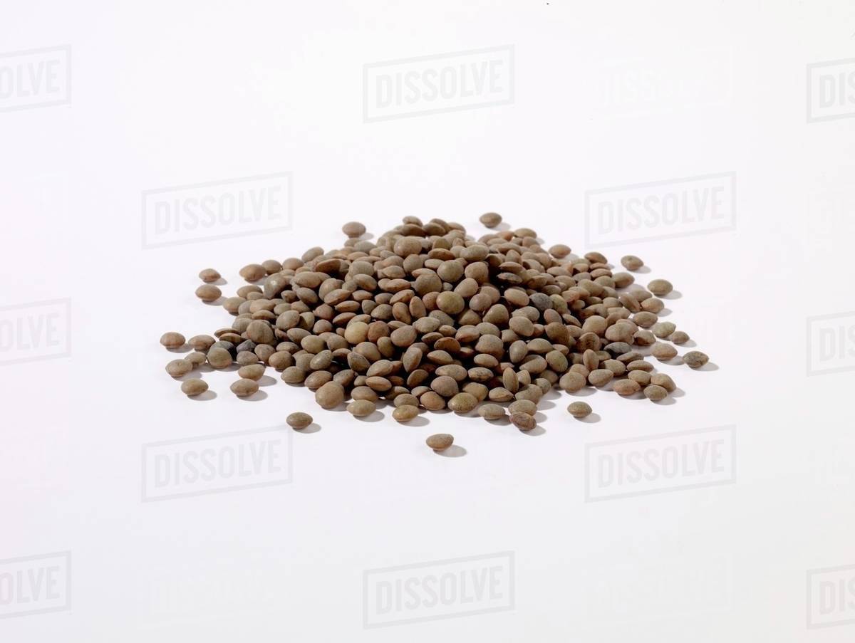 Pardina lentils - Stock Photo - Dissolve
