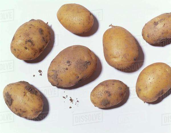 Eight potatoes - Royalty-free Stock Photo | Dissolve