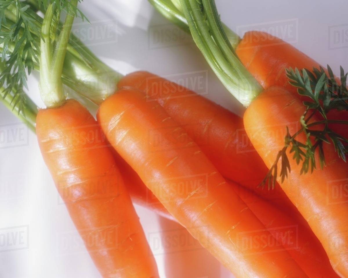 Carrots with tops - Royalty-free Stock Photo | Dissolve