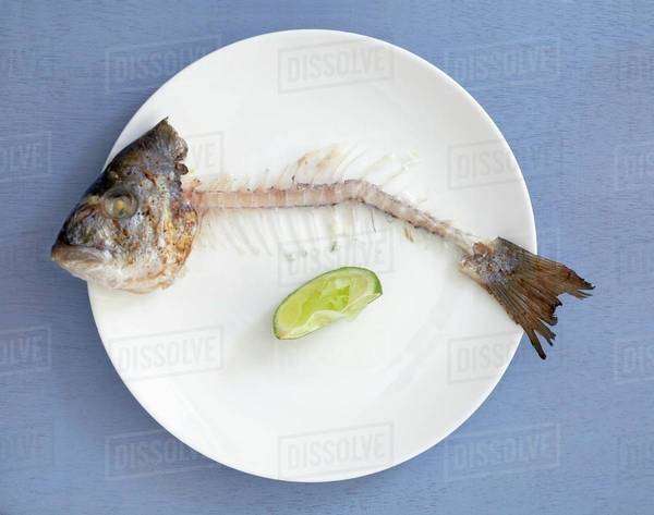 Fish bones with head and tail on plate (overhead view) - Royalty-free ...