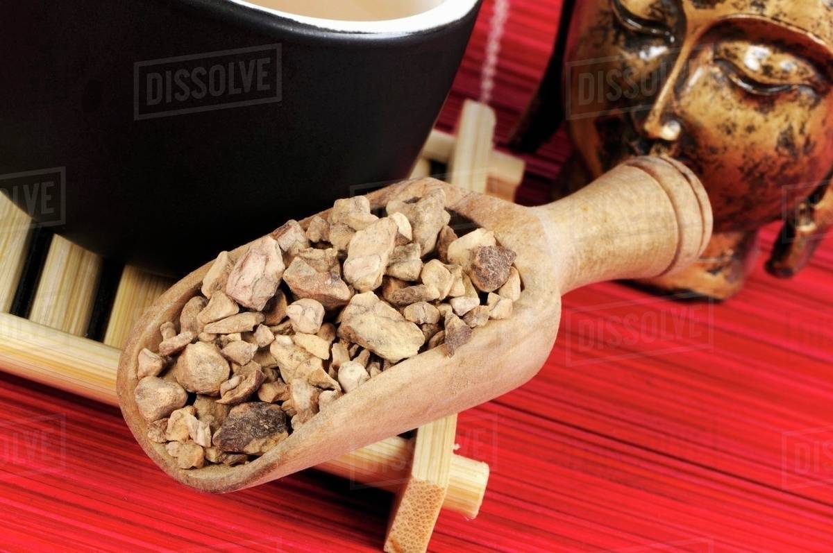 Chinese knotweed root - Royalty-free Stock Photo | Dissolve