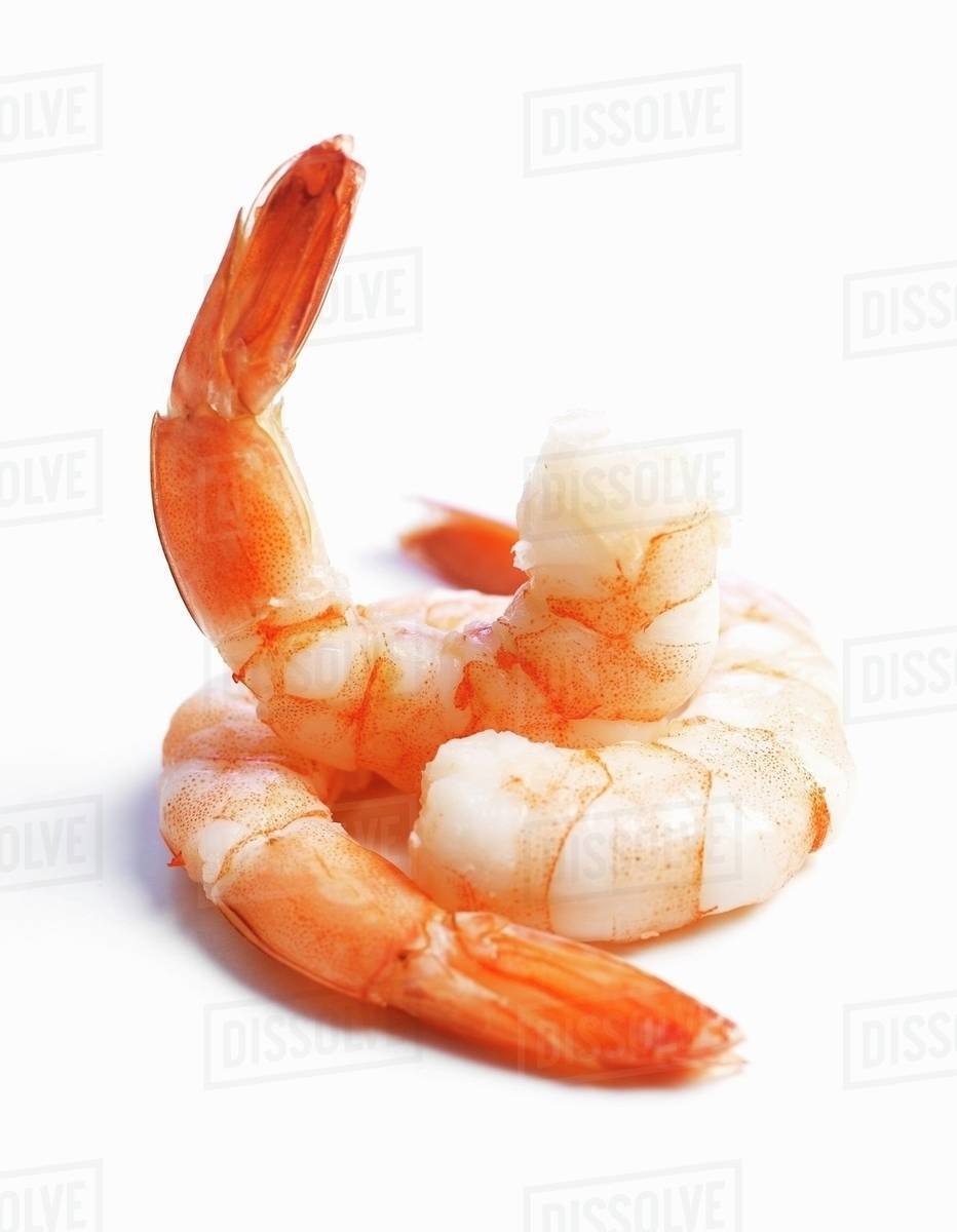 Three ready prepared prawns - Stock Photo - Dissolve