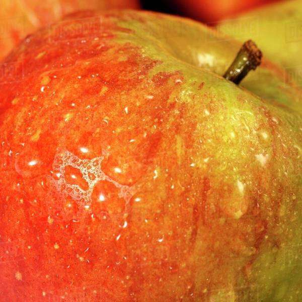 Apple, close-up - Royalty-free Stock Photo | Dissolve