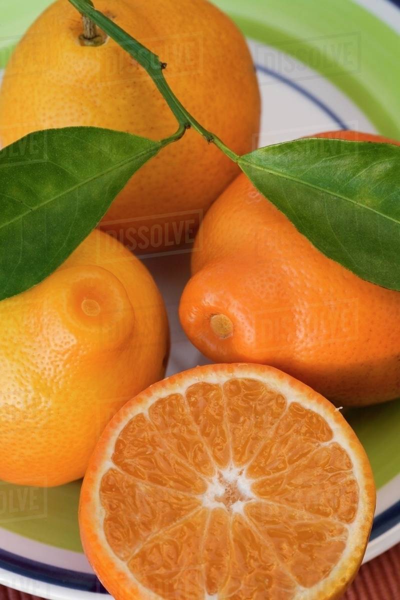 Whole tangerines and half a tangerine - Stock Photo - Dissolve