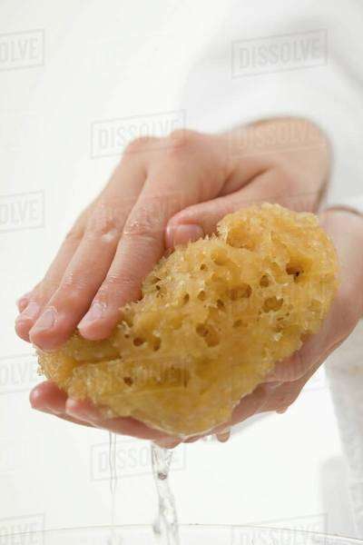 Hands squeezing out wet sponge - Royalty-free Stock Photo | Dissolve