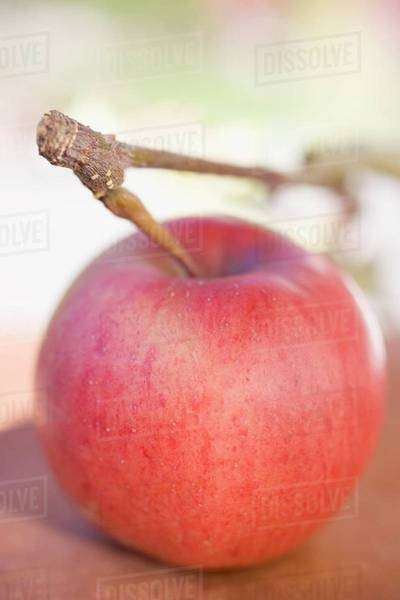 Red apple with stalk - Royalty-free Stock Photo | Dissolve