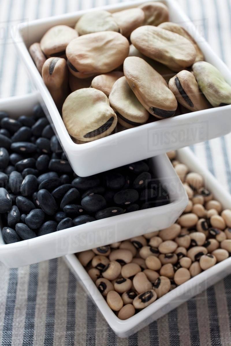Various types of dried beans - Royalty-free Stock Photo | Dissolve