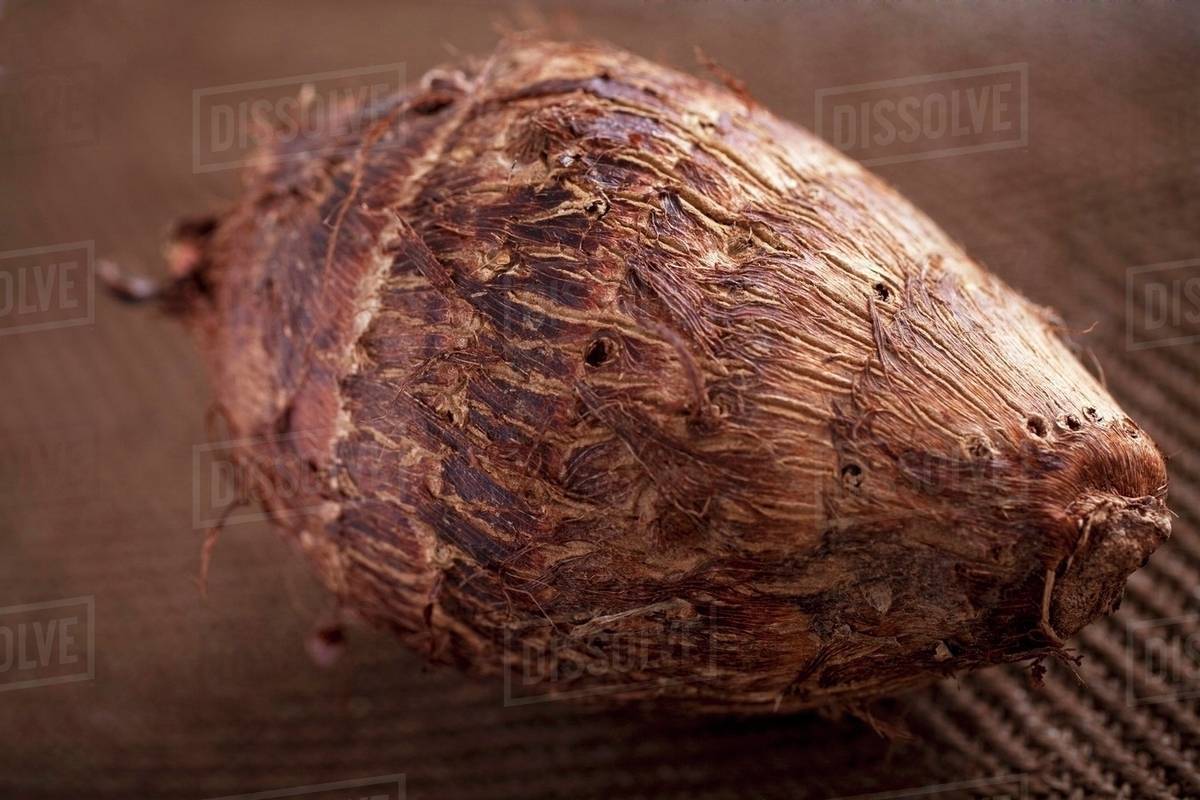 Malanga root (close-up) - Royalty-free Stock Photo | Dissolve