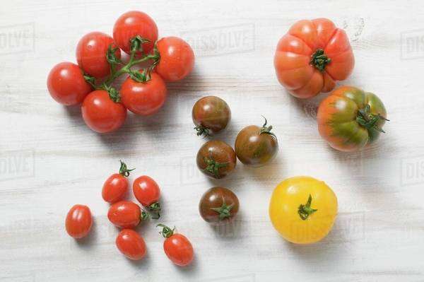 Various types of tomatoes (overhead view) - Stock Photo - Dissolve