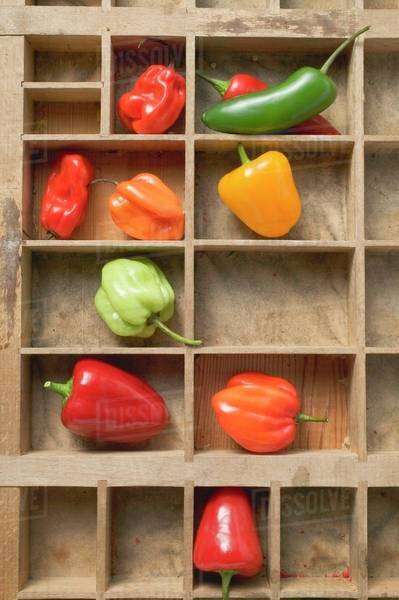 Various peppers and chillies in type case - Royalty-free Stock Photo ...