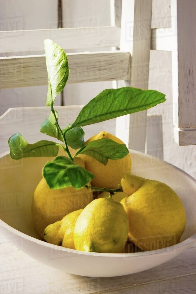 Lemons with leaves in a white bowl on a white wooden chair - Royalty ...